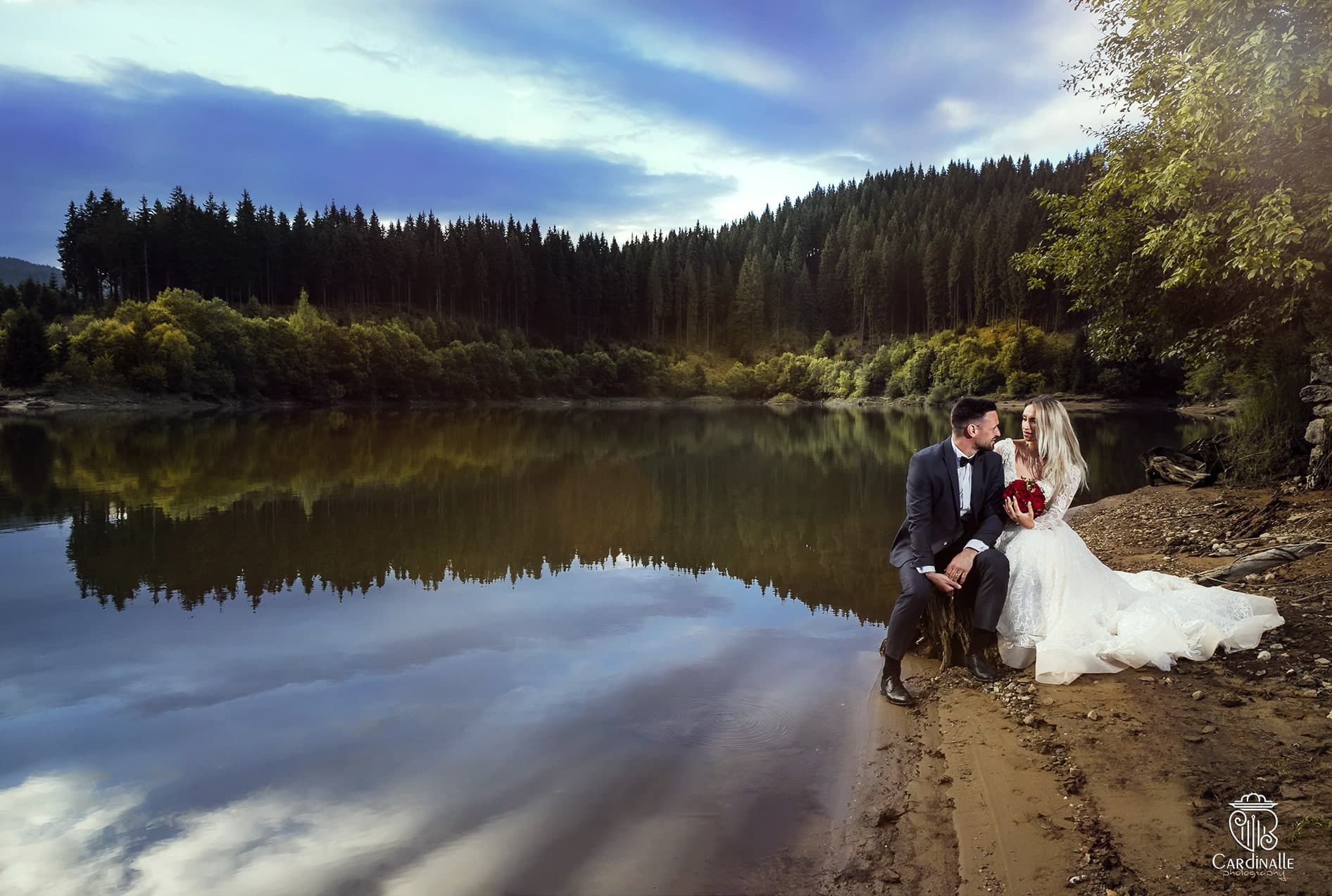 Foto Video Nunta - Servicii Premium - Fotograf Nunta | Cardinalle